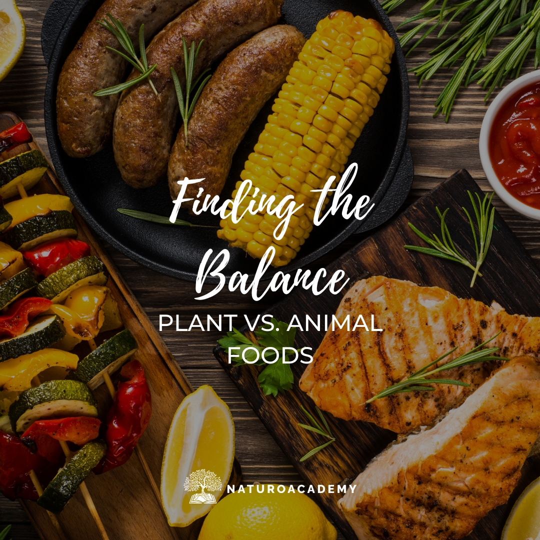 Finding the Balance of Plant Vs. Animal Foods – NaturoAcademy