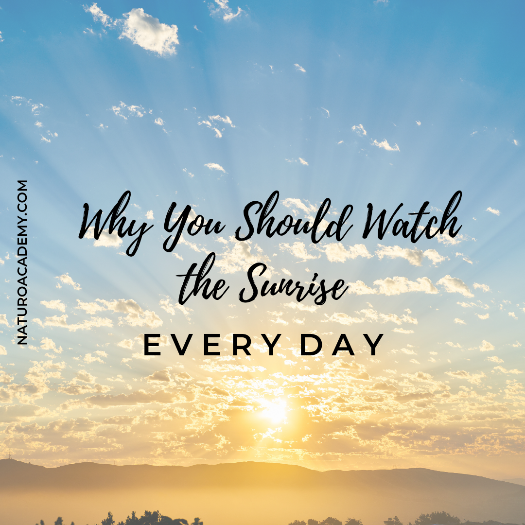 Why You Need to Watch The Sunrise Every Day – NaturoAcademy
