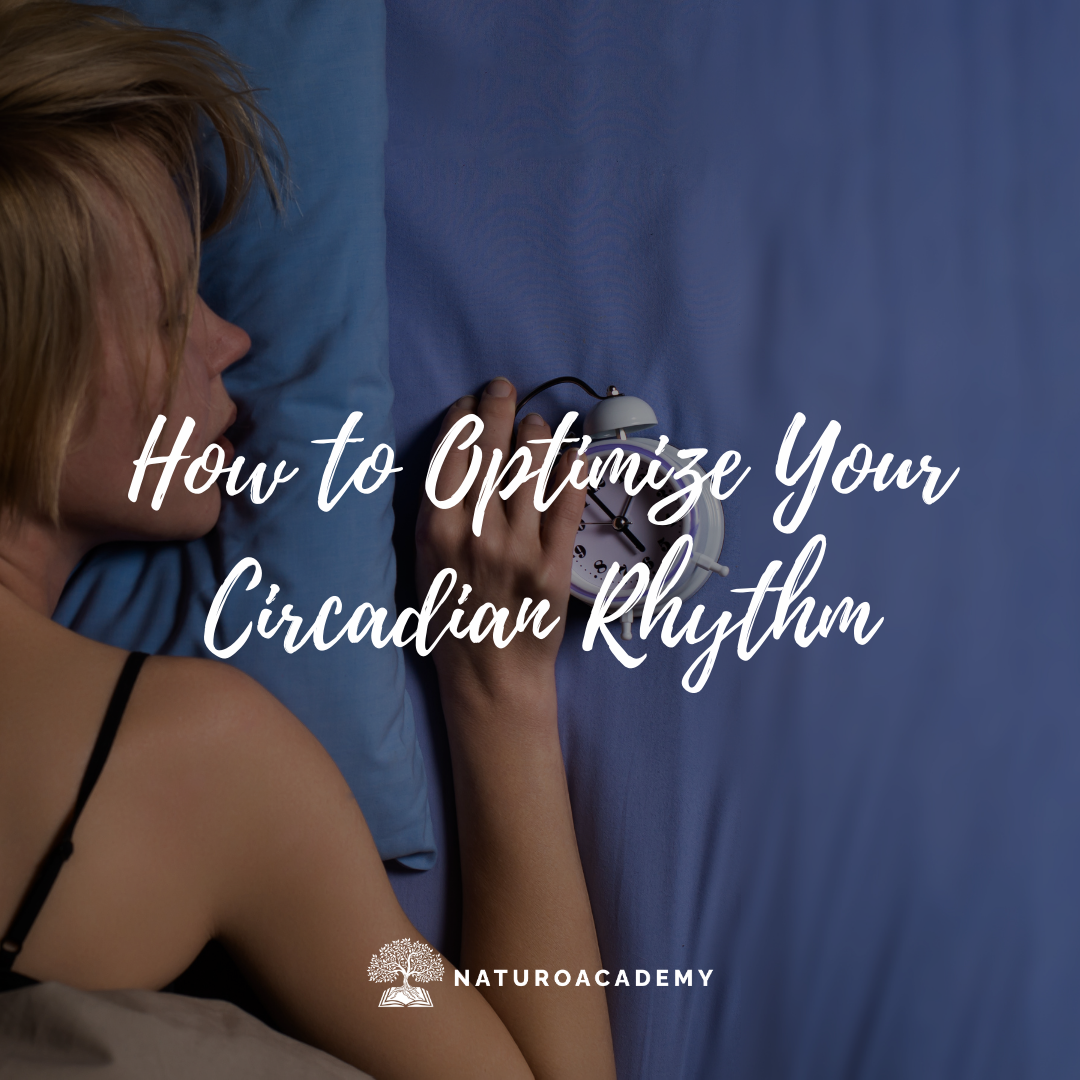 How to Optimize Your Circadian Rhythm – NaturoAcademy