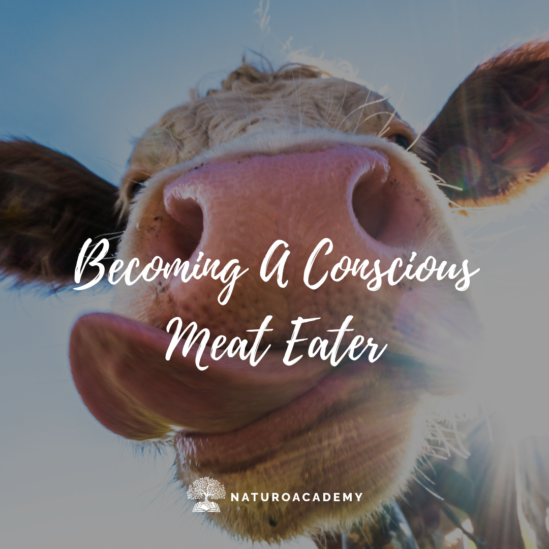 Becoming a Conscious Meat Eater – NaturoAcademy