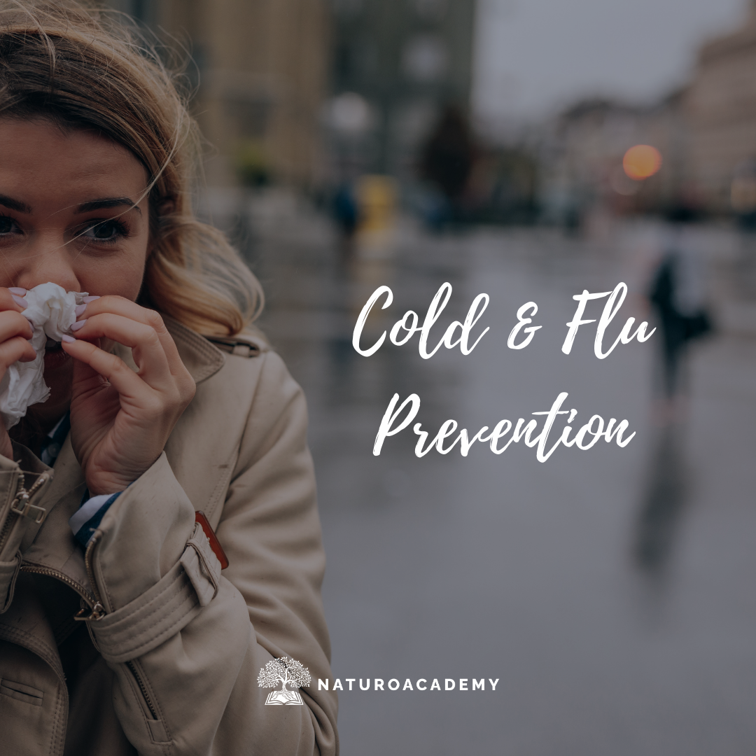 Cold & Flu Prevention – NaturoAcademy