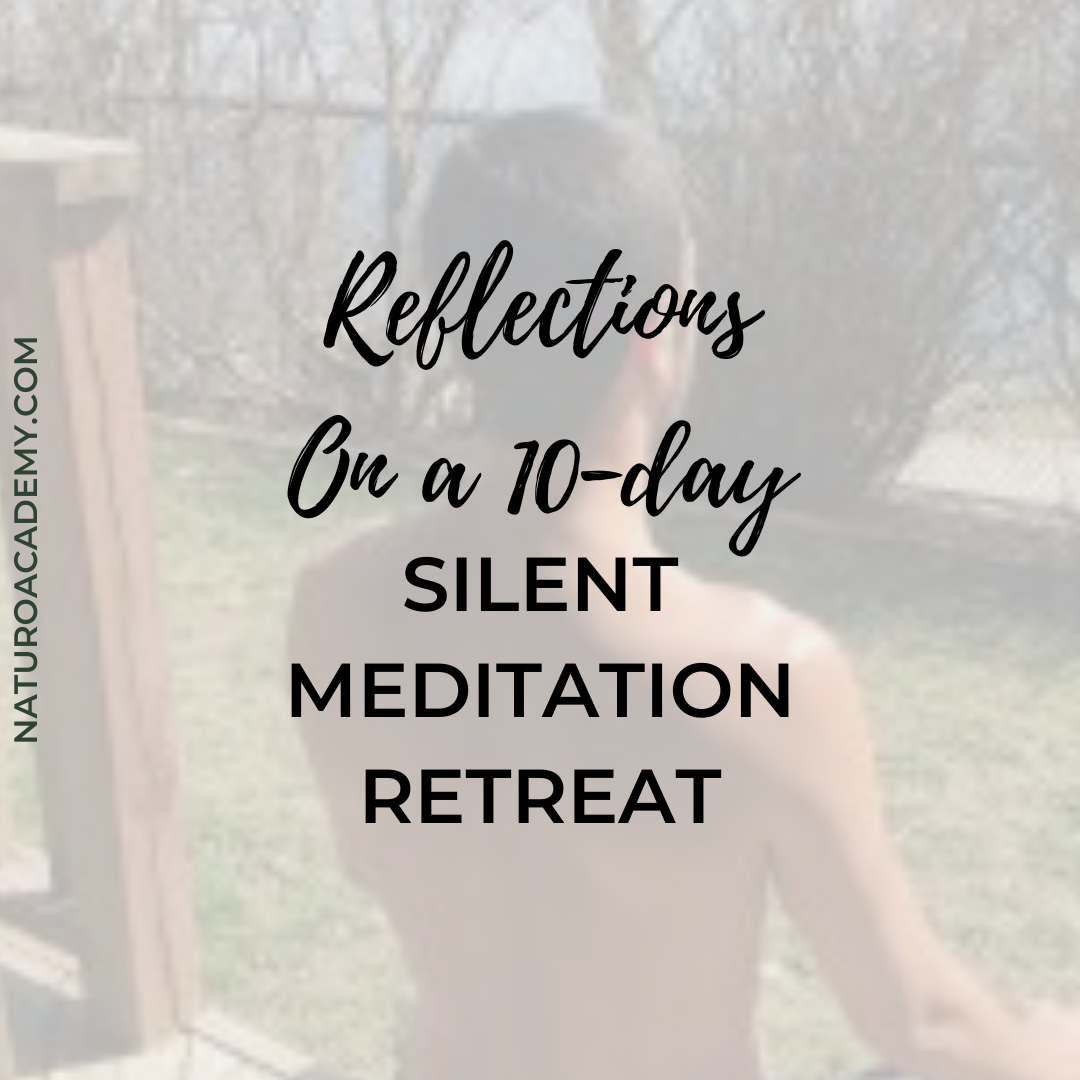 Reflections on a 10 Day Silent Meditation Retreat – NaturoAcademy